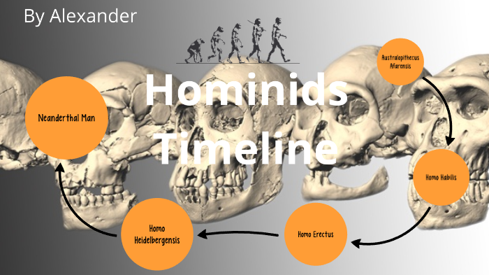Hominids Timeline by Alexander Reeves on Prezi
