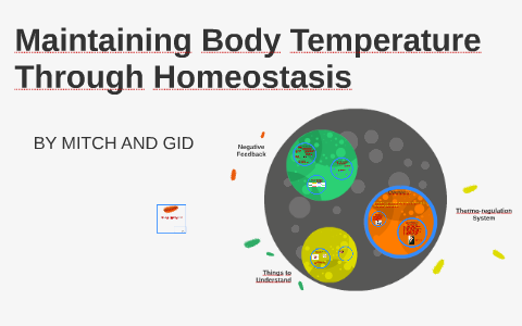 Biology Body Temperature by