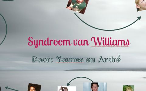 williams syndroom by Tim van Rijn on Prezi
