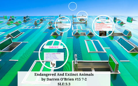 Endangered and Extinct Animal Project by Darren O'Brien on Prezi
