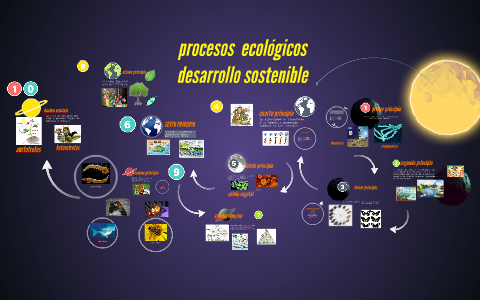 procesos ecologicos by CAMILA PALACINO on Prezi
