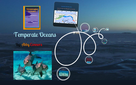 Temperate Ocean Biome by abby connors on Prezi