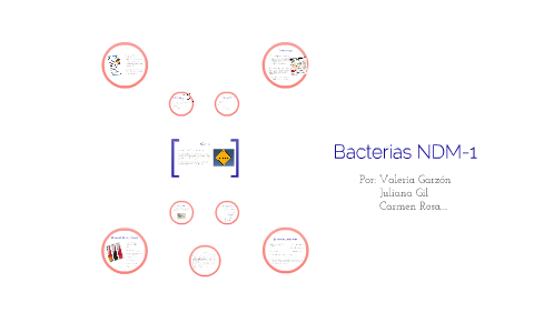 Bacterias NDM-1 by juliana gil