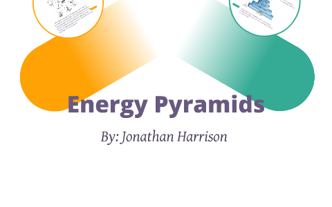 Energy Pyramids - Biology by Jonathan Harrison on Prezi