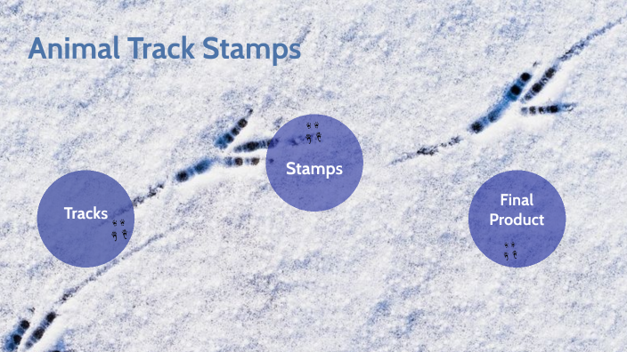 Animal Track Stamps by Kiley Timler on Prezi