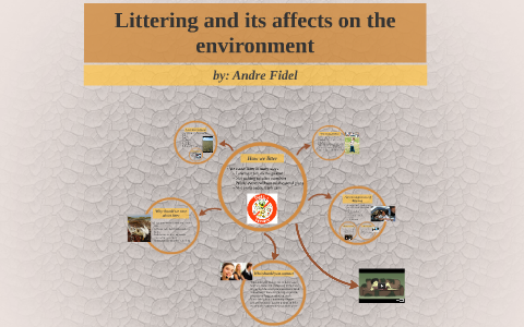 Littering and its affects on the environment by Andre Fidel on Prezi
