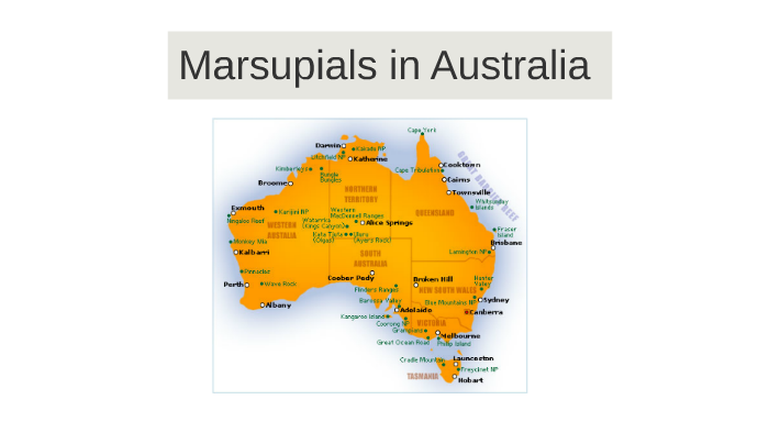 Marsupials in Australia by Jenny Moser on Prezi
