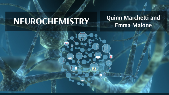 Neurochemistry - AP Chemistry Final Project by Emma M on Prezi