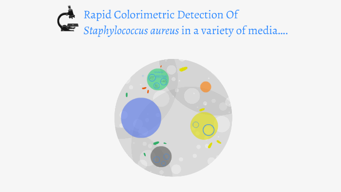 Rapid Colorimetric Detection Of Staphylococcus aureus in a v by samah ...