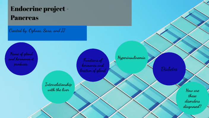 Endocrine System Project by Oghosasere Elaiho on Prezi