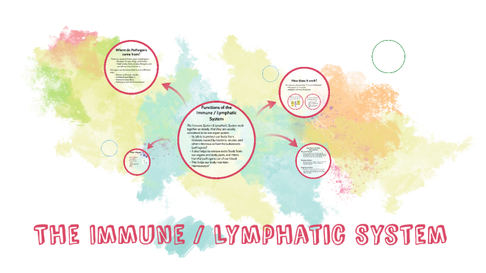 The Immune / Lymphatic System by Anthony Despres on Prezi