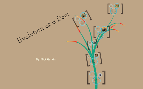 Evolution of a Deer by Nick Garvin