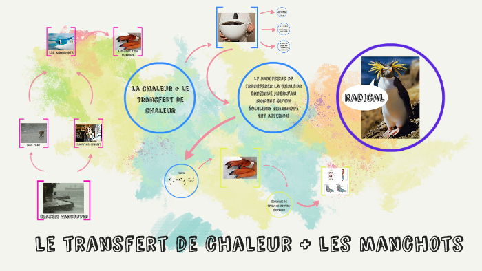 Heat Transfer + penguins! by C C on Prezi