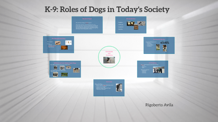 K-9: Roles of Dogs in Todays Society by rigo avila on Prezi