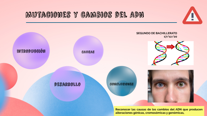Mutaciones y cambios del ADN by Alondra González on Prezi