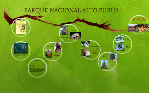 PARQUE NACIONAL ALTO PURÚS by melissa balarezo on Prezi
