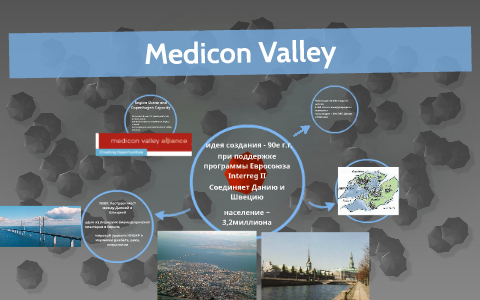 Medicon Valley by Anastasia Filippova on Prezi