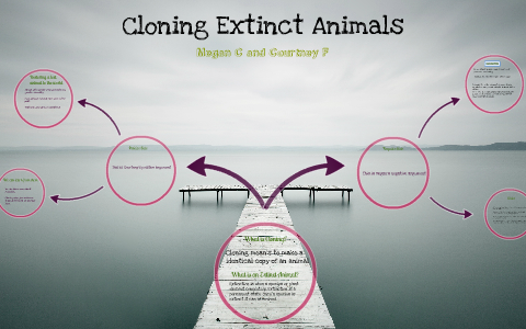Cloning Extinct Animals by Courtney Megan on Prezi
