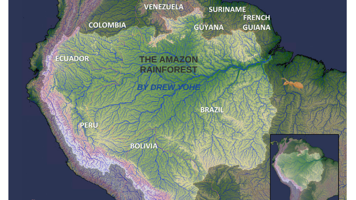 The Amazon Rainforest Deforestation by andrew yohe on Prezi