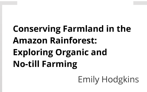 Rainforest Proposal by Emily Hodgkins on Prezi