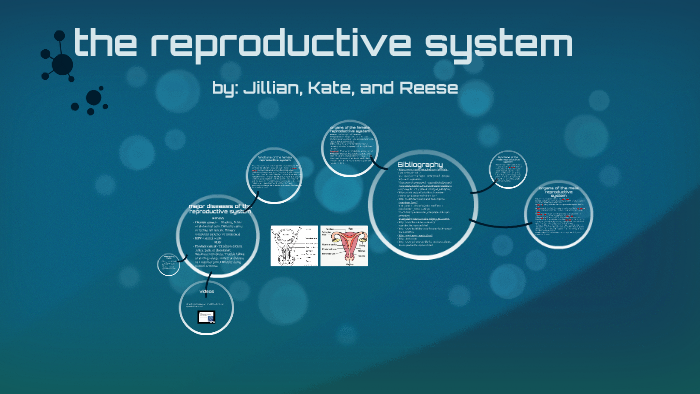 major diseases caused by the reproductive system by Jill Mars on Prezi