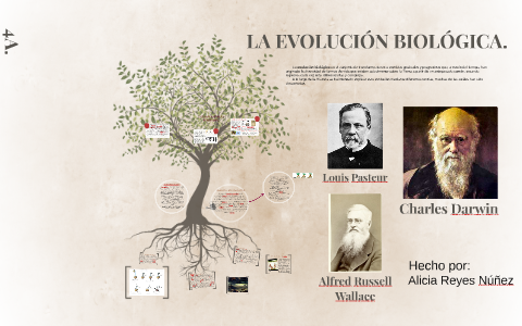 LA EVOLUCIÓN BIOLÓGICA. by Alicia Mari on Prezi