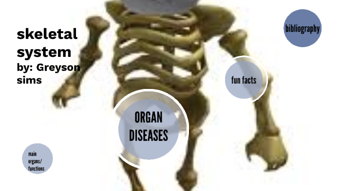 skeletal system by Greyson Sims on Prezi