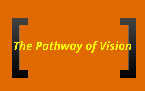 Pathway of Vision Presentation by Danielle Fulker on Prezi