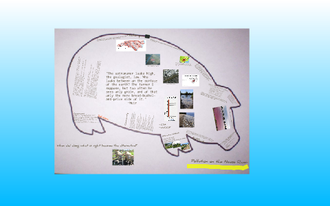 Pollution on the Neuse River by Cassie Stultz on Prezi