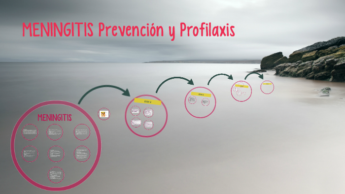 MENINGITIS Prevención y Profilaxis by jimena garcia blanco on Prezi