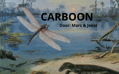 CARBOON by Marc van Buiten on Prezi