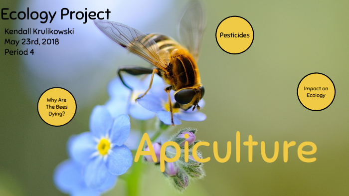 Ecology Project: Apiculture Prezi by Kendall Krulikowski on Prezi