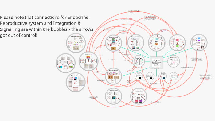 Anatomy & Physiology by Anna Boase
