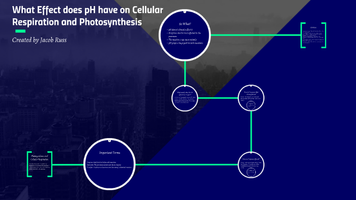 How pH affects Photosynthesis and Cellular Respiration by Jacob Russ on ...