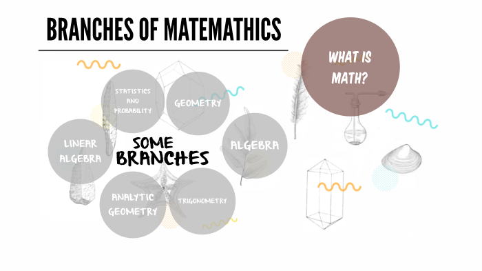 BRANCHES OF MATHEMATICS by juan carlos miguel resurreccion on Prezi