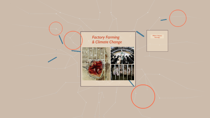 Factory Farming & Climate Change by Courtney Garrity on Prezi