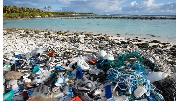 The Great Pacific Trash Vortex by Pauline Espinoza