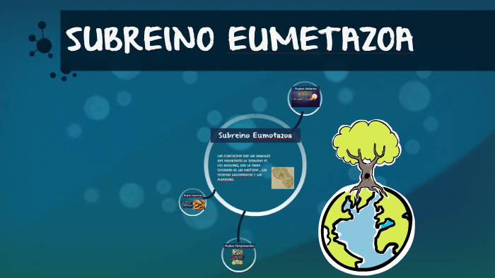 SUBRREINO EUMETAZOA by Elpapichulo thebest on Prezi
