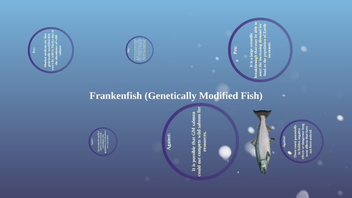 Frankenfish (Genetically Modified Fish) by Charles McAndrews on Prezi