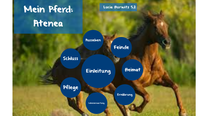 des Pferd by Lucia Hur on Prezi