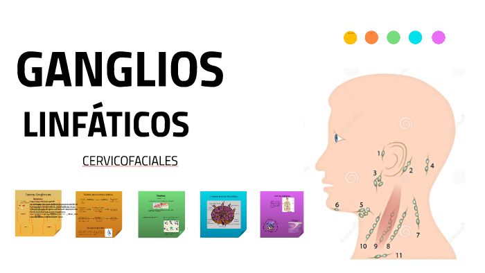 GANGLIOS by valentina tumminello on Prezi