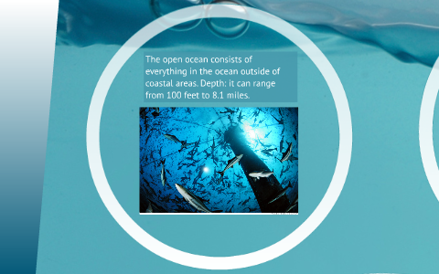Open Ocean Ecosystem by Brittany Lanier on Prezi