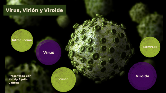 Virus, Virión y Viroide by Nataly Aguilar on Prezi