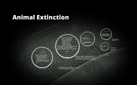 Animal Extinction Project by Jessica Sharcott on Prezi