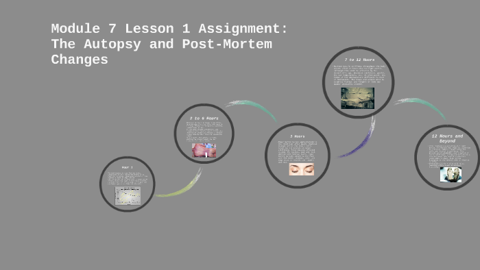 Module 7 Lesson 1 Assignment: by Taylor Weaver on Prezi