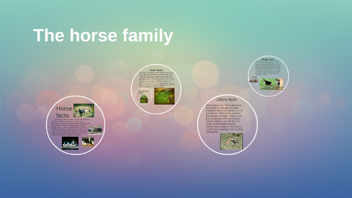 Horse Families by Laney Kes on Prezi