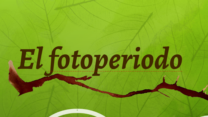 El fotoperiodo by claudio maltez on Prezi
