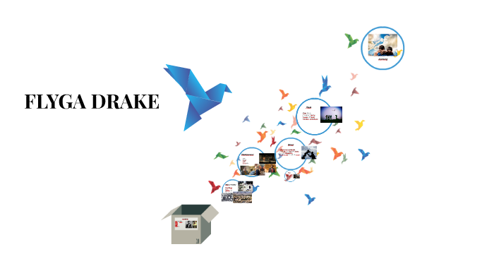 Flyga Drake by Fredrik Biesert