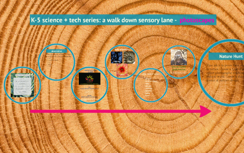 Photoscapes: Patterns in Nature by Nancy Yamamoto on Prezi