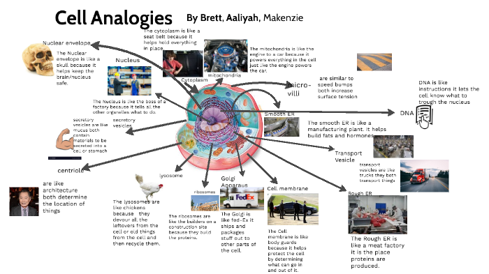 Cell Analogies by Brett Howard on Prezi